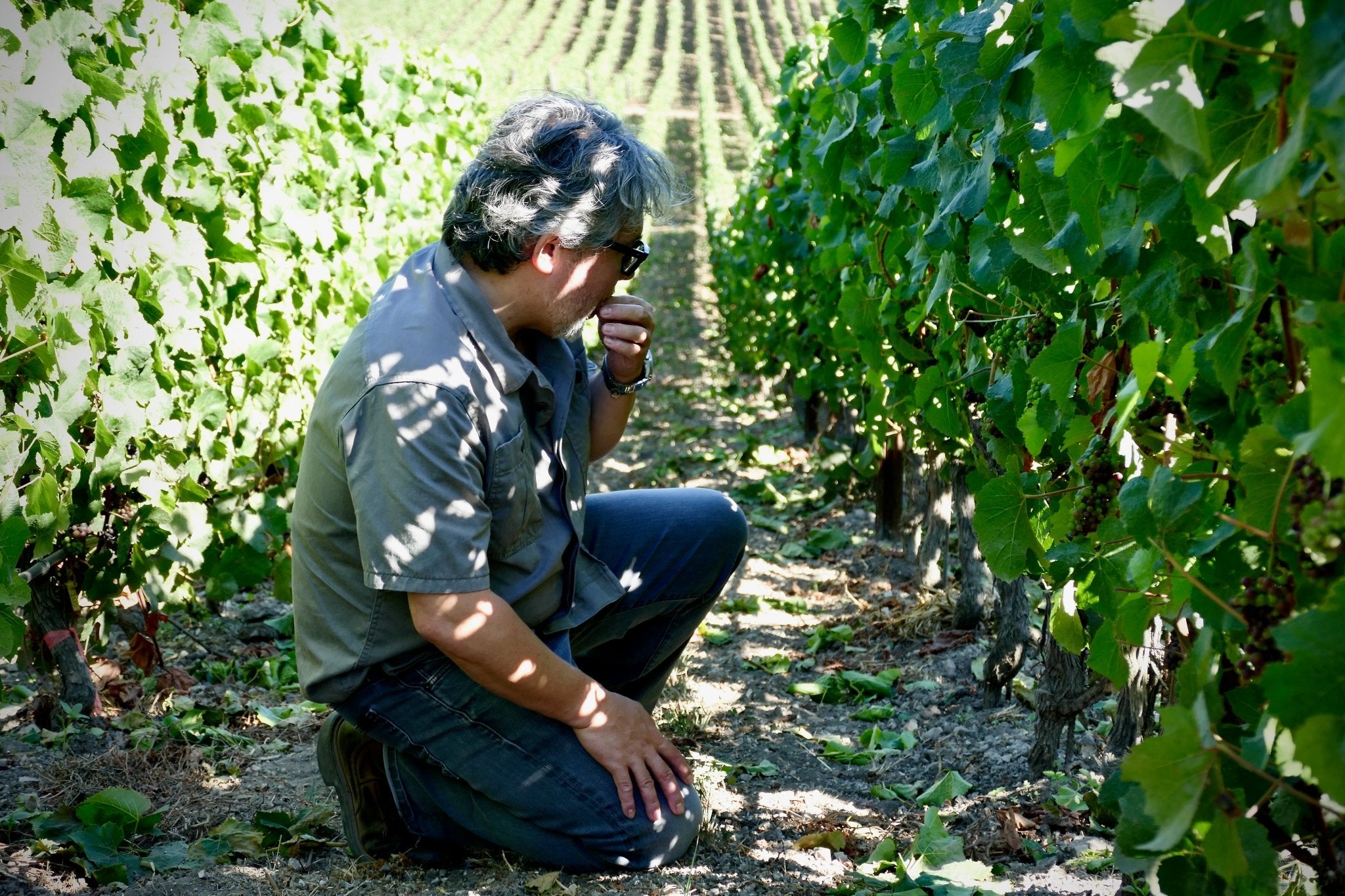 Sashi Moorman & Rajat Parr - West Coast, USA – Good Wine Good People