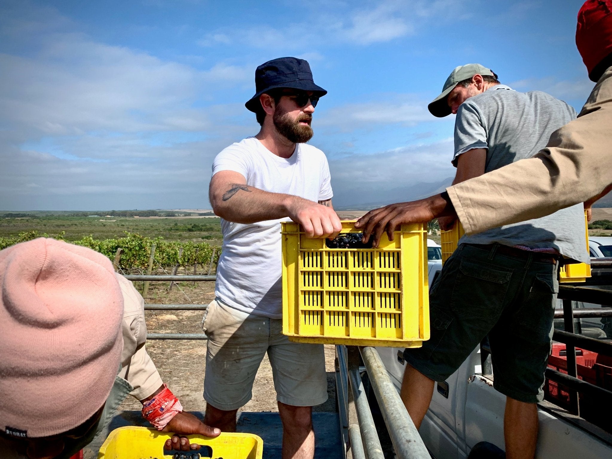 Meet the Maker: Angelo Van Dyk, Yo El Rey Wines – Good Wine Good People